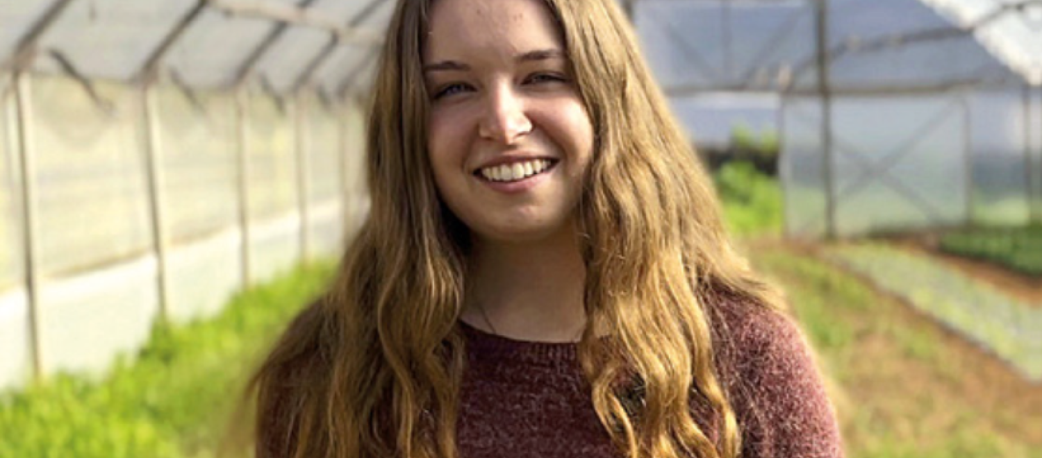 Learning about life before university | Tairseach Eorpach na hÓige