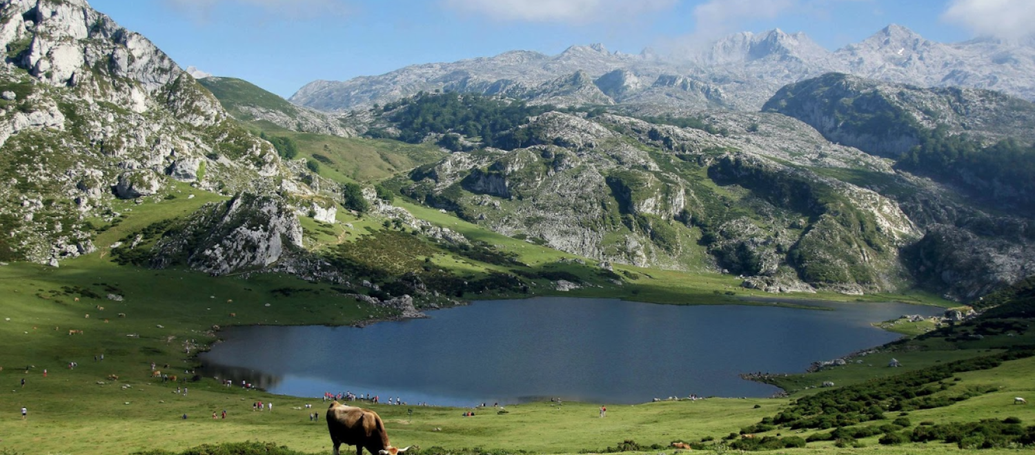 Tips and Opportunities to Explore European Nature | European Youth Portal